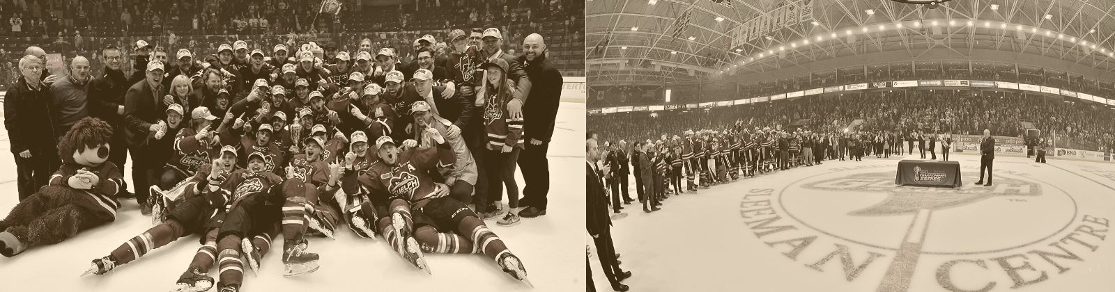 Home - Sleeman CentreSleeman Centre